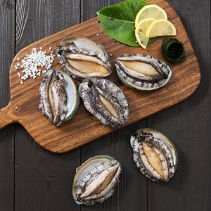 [완도전복] 미소 4호 500g (50g-10미)