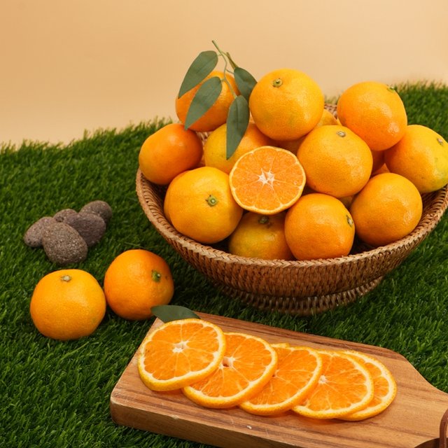 [자연품애]극조생귤 3kg 중대과(2L~L)