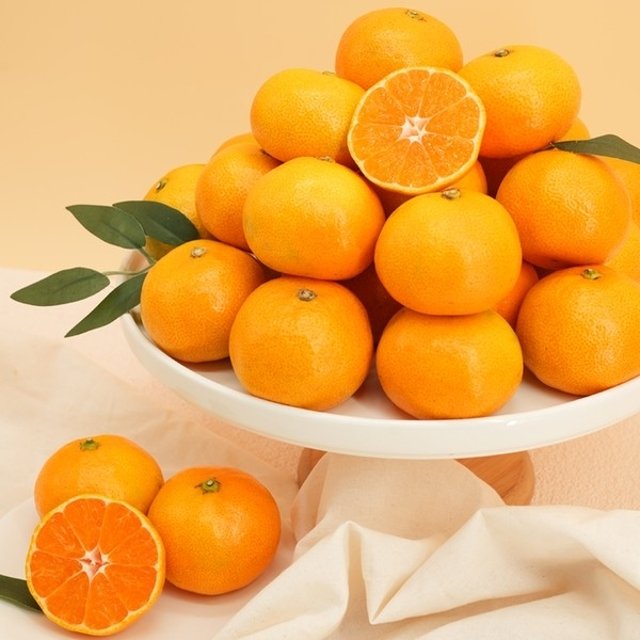 [착한식탁]극조생귤 2kg 중대과(2L~L)_P349781085