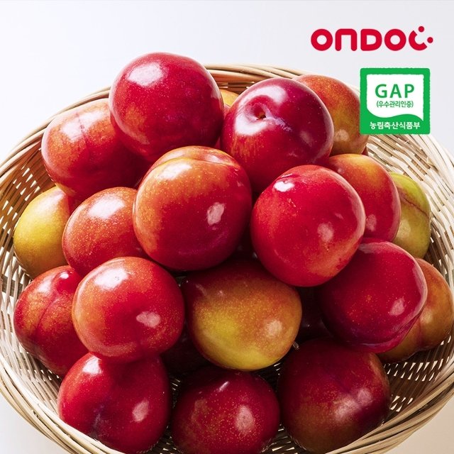 [온도씨]GAP인증 김천 대석자두(상) 2.5kg