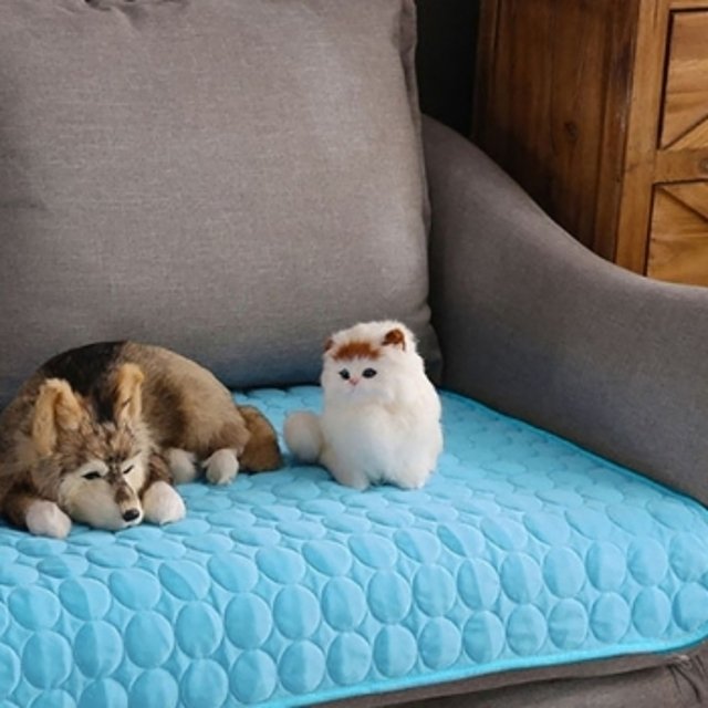 코코펫 애견 쿨매트(60x50cm) (블루)/1269100