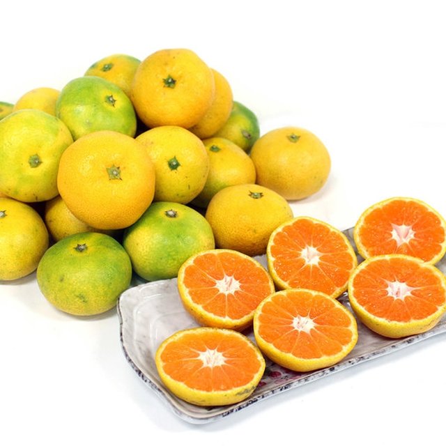 첫출하 제주 노지감귤 3kg내외(2S-M)/로얄소과