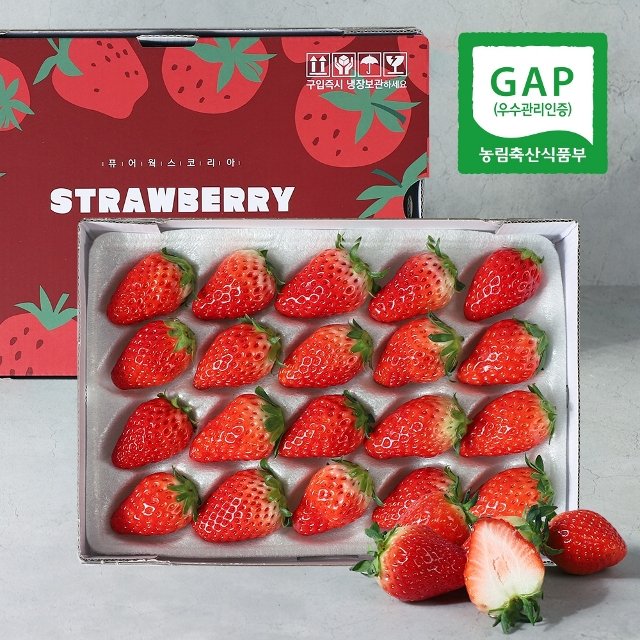 [오늘의과일] GAP인증 금실딸기 300g x 2팩(20-36과 랜덤)