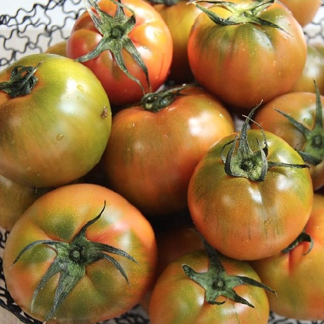 [맛군] 산지직송 부산 대저 짭짤이토마토 2.5kg (2s-m) 대저토마토