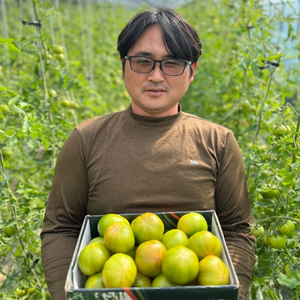 [팜쿡] 대저토마토 L~2L사이즈(180g이상) 5kg