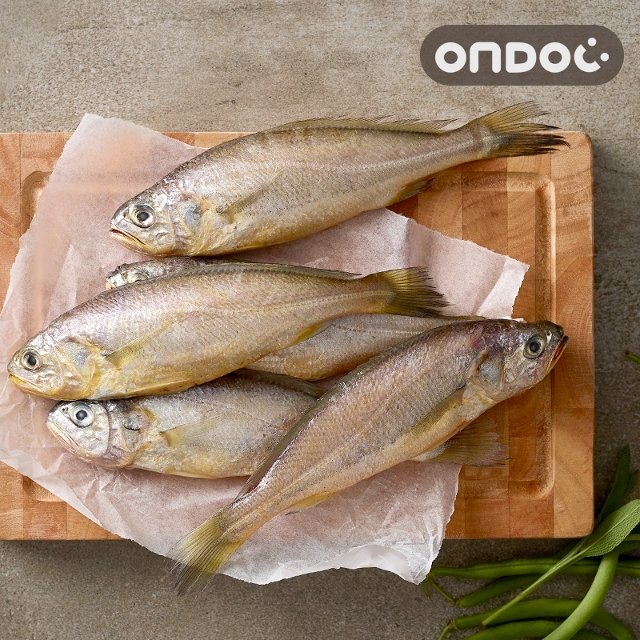 [온도씨]참조기 650g내외 (특대/5마리/마리당130g내외)