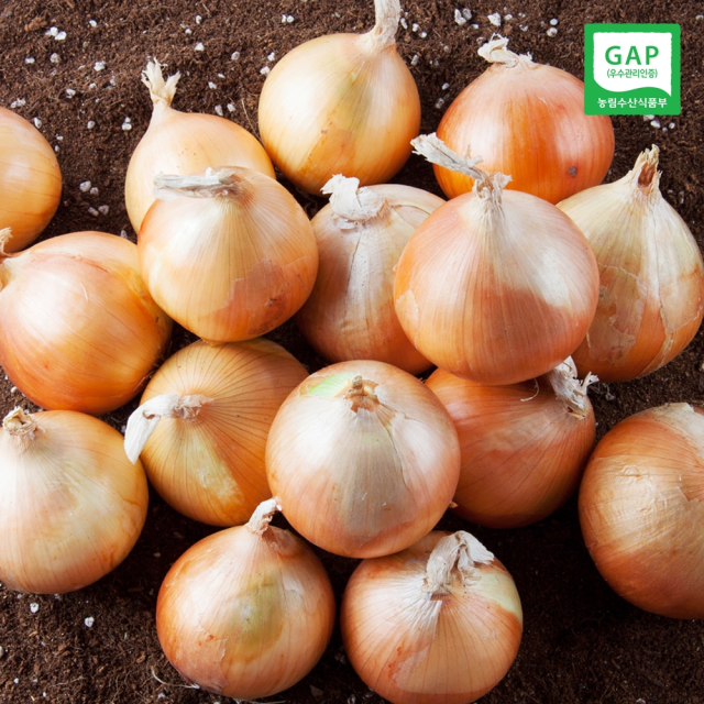 G [산지직송] GAP인증 23년산 전남무안 양파 10kg (특대)