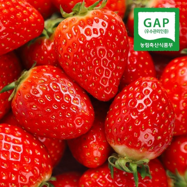 [가재골진진딸기] GAP인증 산지직송 전북 진안 설향딸기 2kg(500g x 4팩)