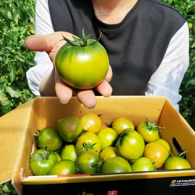 부산 대저 짭짤이토마토 2.5kg 2S