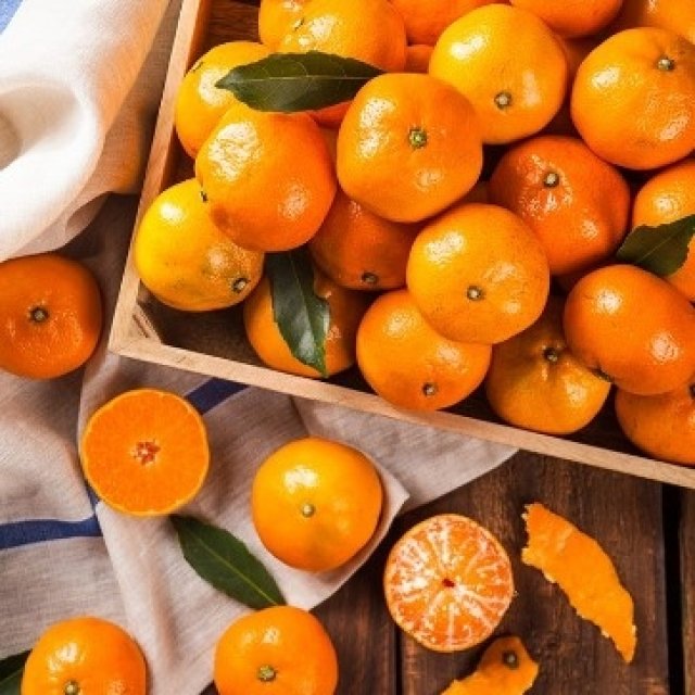 제주감귤 9kg 중대과(2L~L)