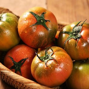 [착한식탁]GAP인증 대저토마토 2.5kg 랜덤과_P356035200